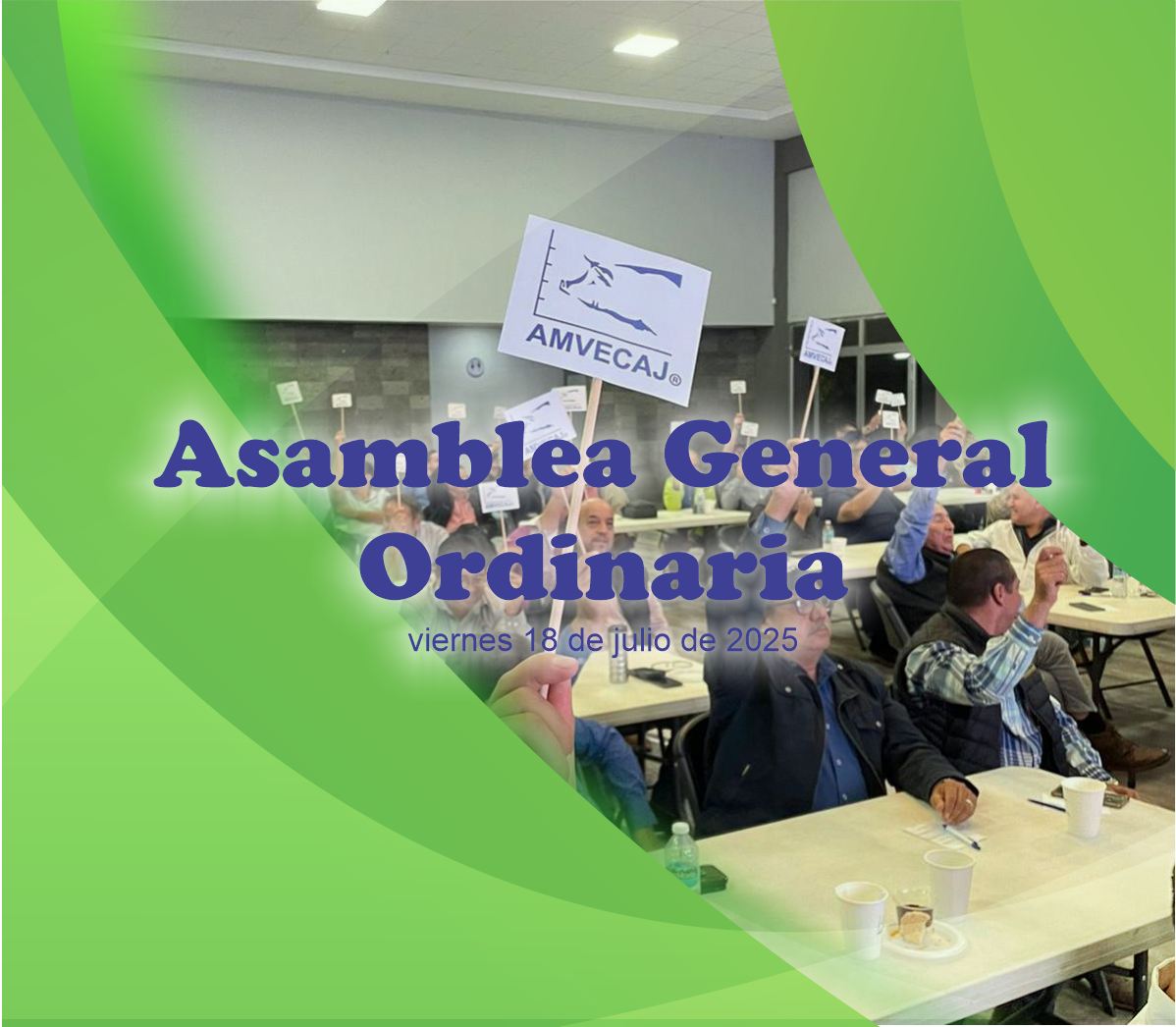 Home | Website AMVECAJ