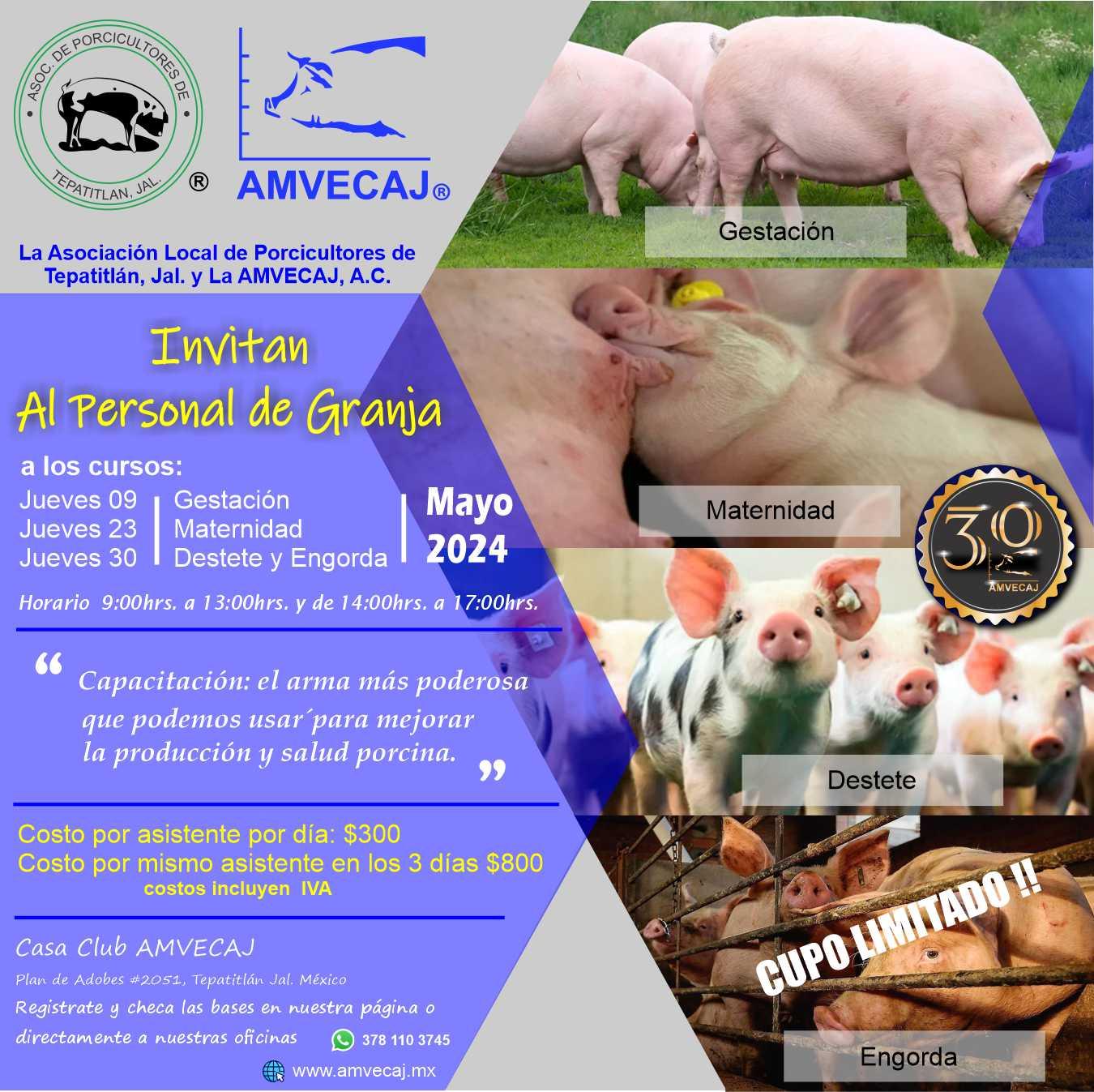 Home | Website AMVECAJ