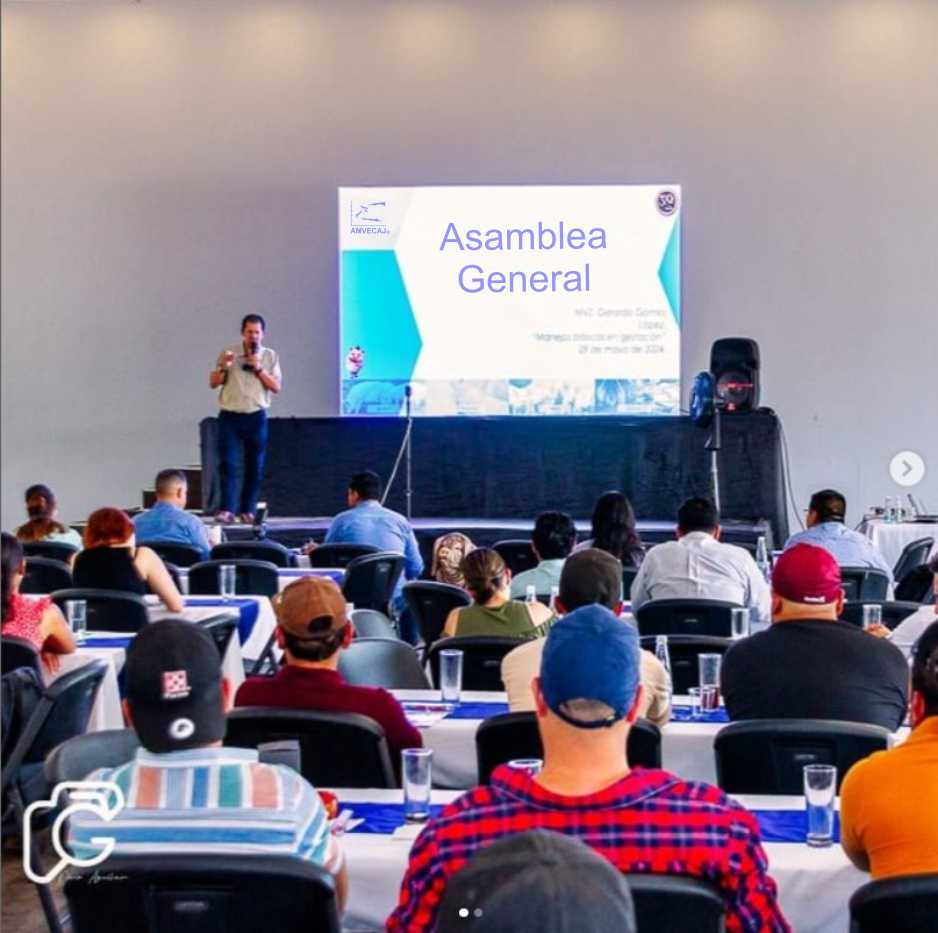 Home | Website AMVECAJ