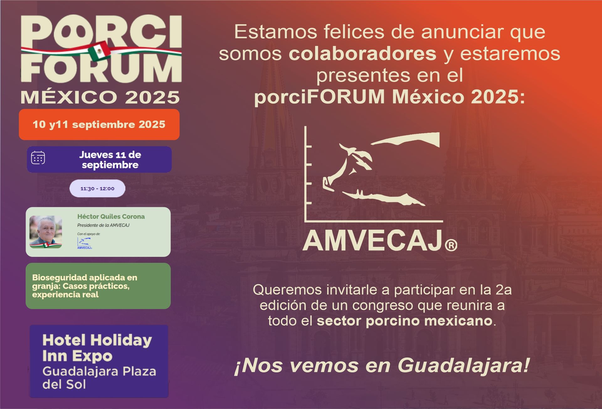 Home | Website AMVECAJ