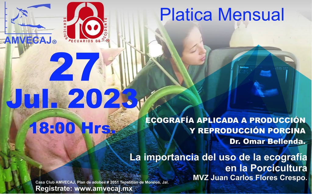 PLATICA Mensual | Website AMVECAJ